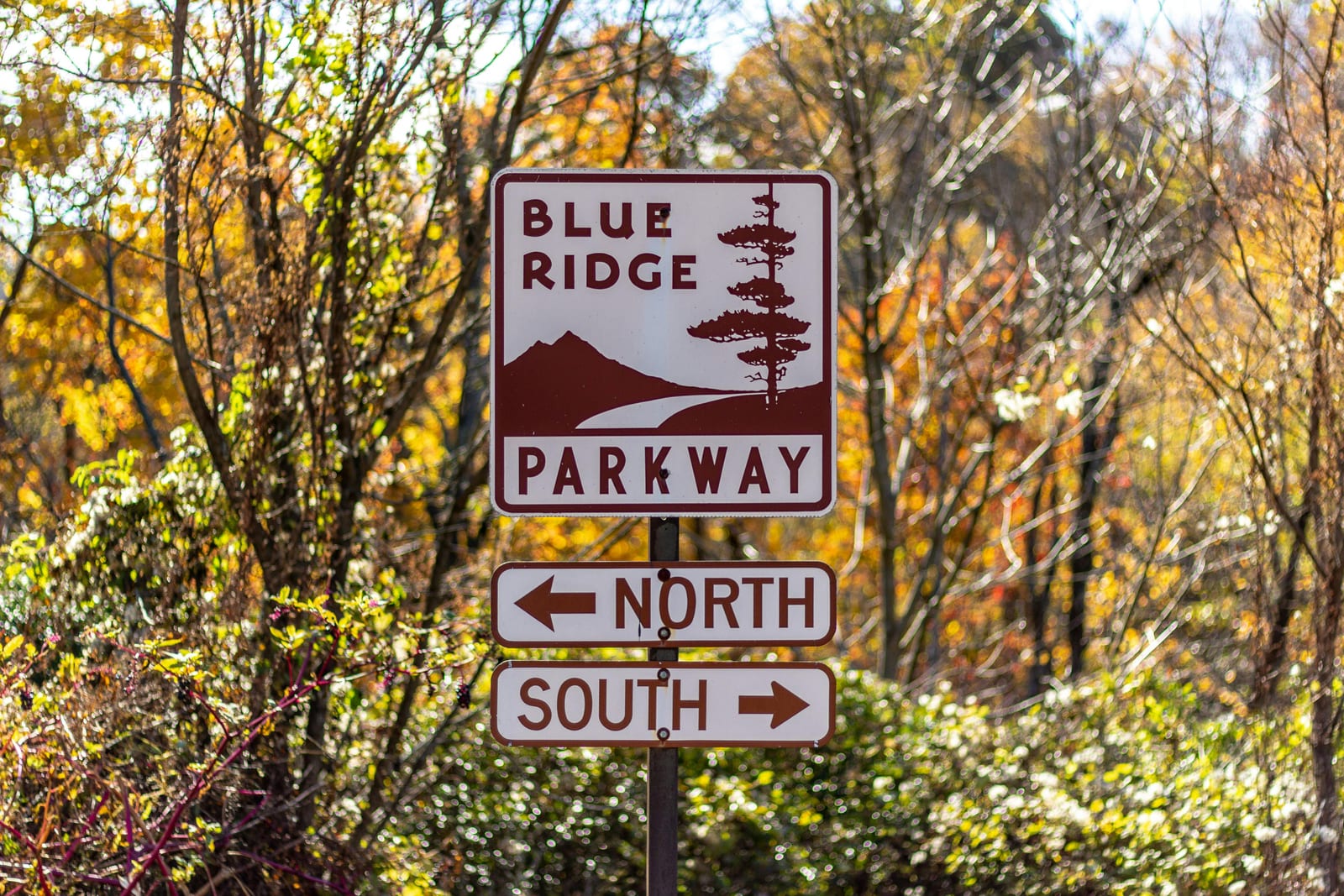 Fall in Buena Vista: Scenic Drives, Hikes, Orchards, and Photo Spots ...